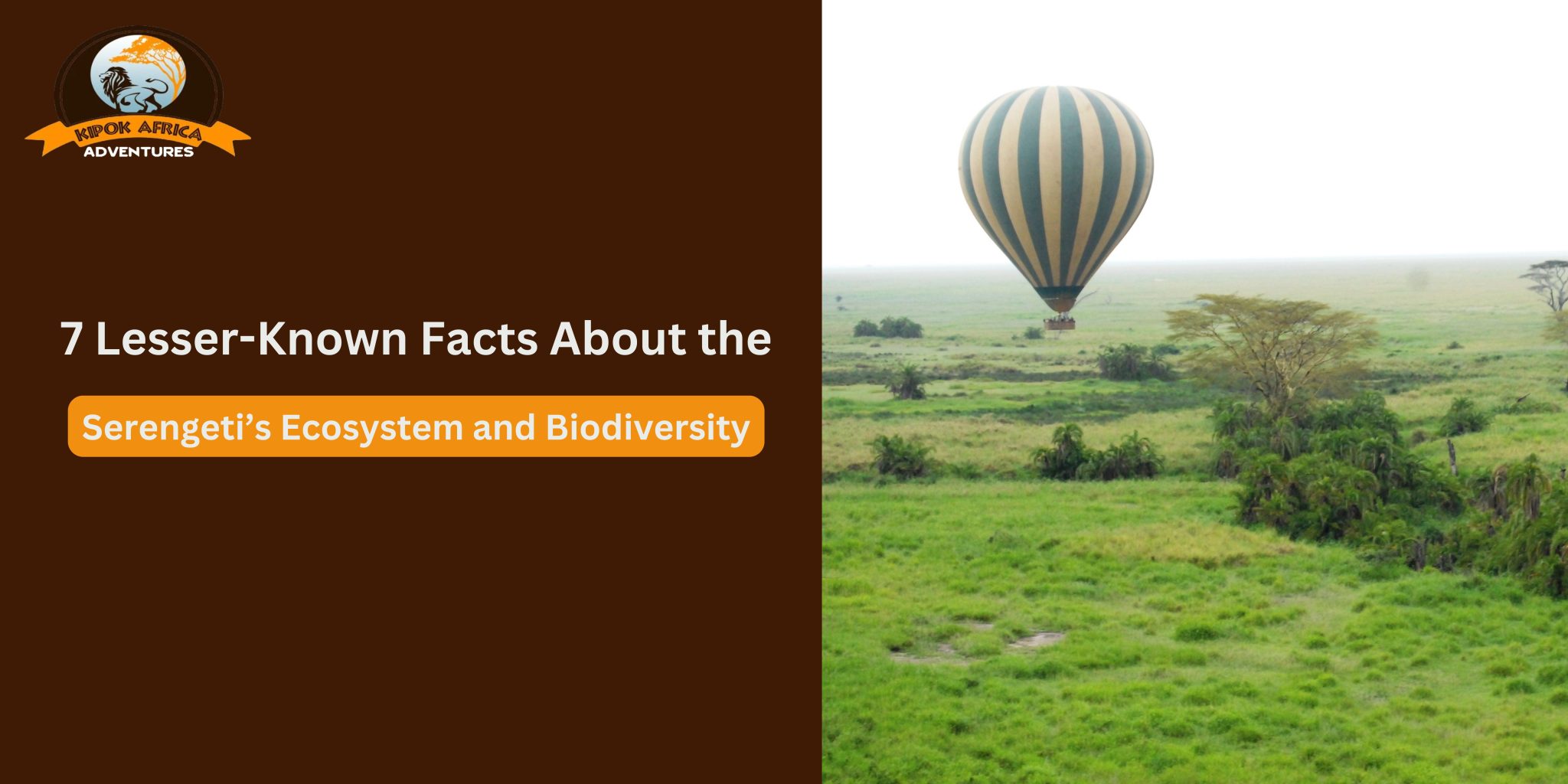 Serengeti’s Ecosystem and Biodiversity